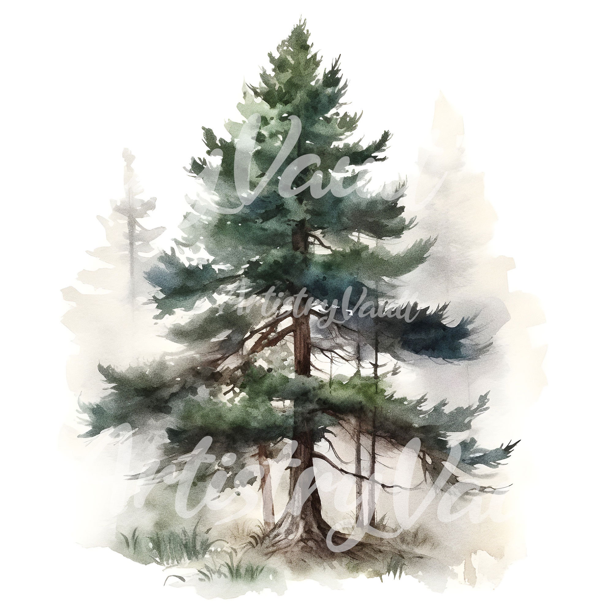 Pine Tree Watercolor Clipart Coniferous Shrub JPG Set - Etsy