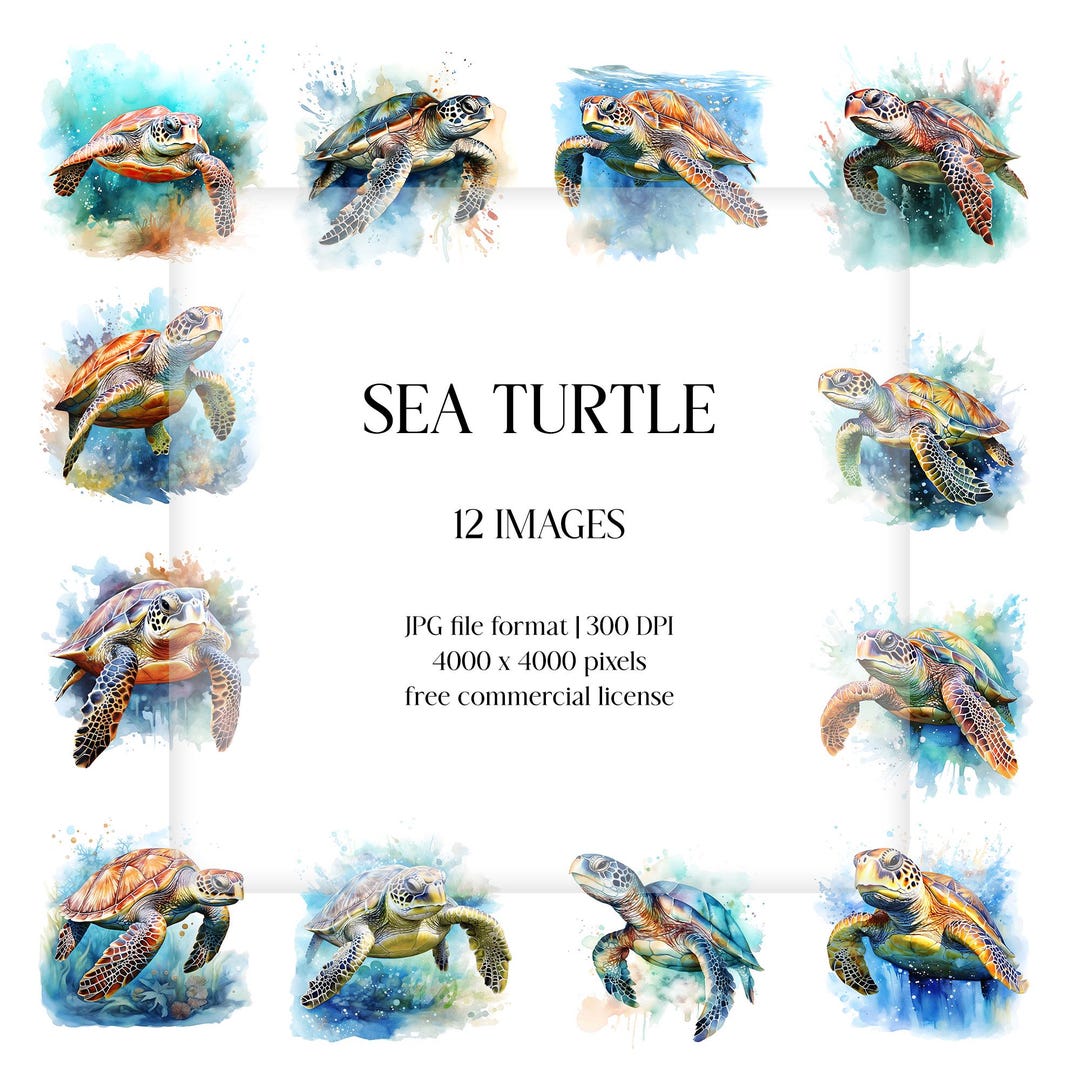 Sea Turtles Watercolor Clipart | Ocean Creatures JPG Collection ...
