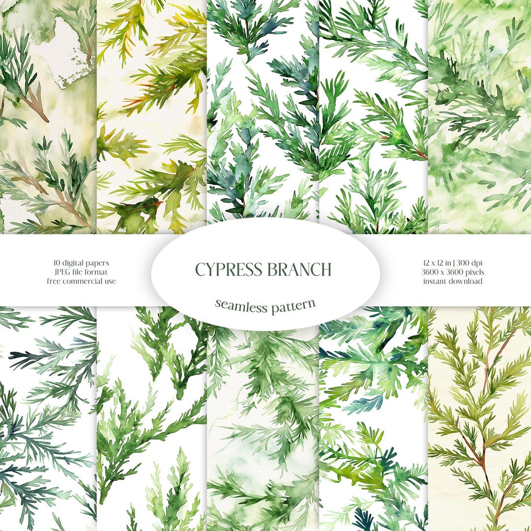 Cypress Branch Watercolor Seamless Pattern | Winter Greenery JPG ...
