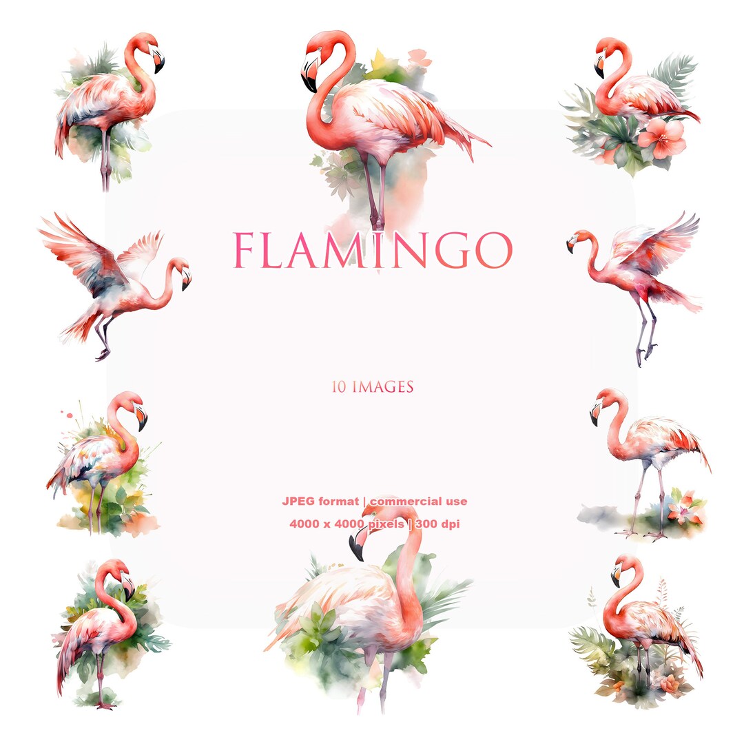 Flamingo Watercolor Clipart | Tropical Bird JPG Set | Paper Craft, Wall ...