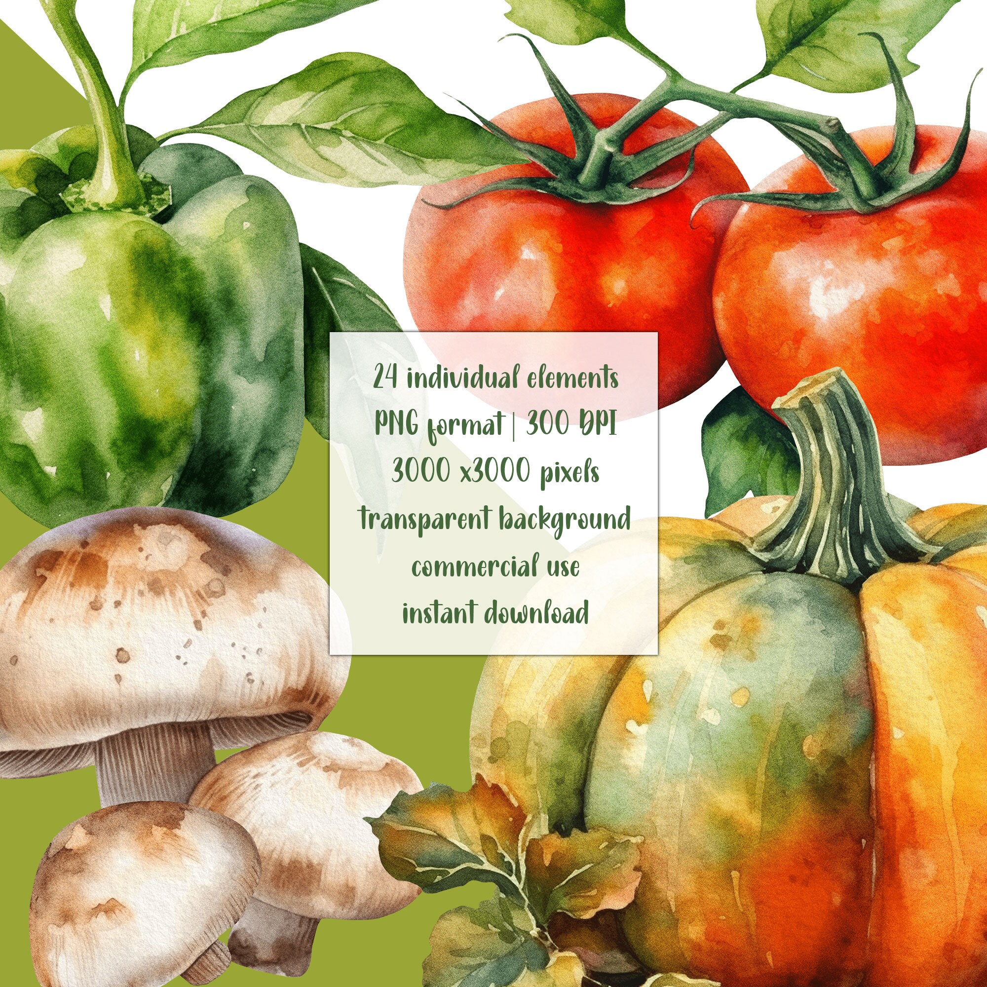 Vegetables Watercolor Clipart - Veggies Collection - Culinary Plants ...