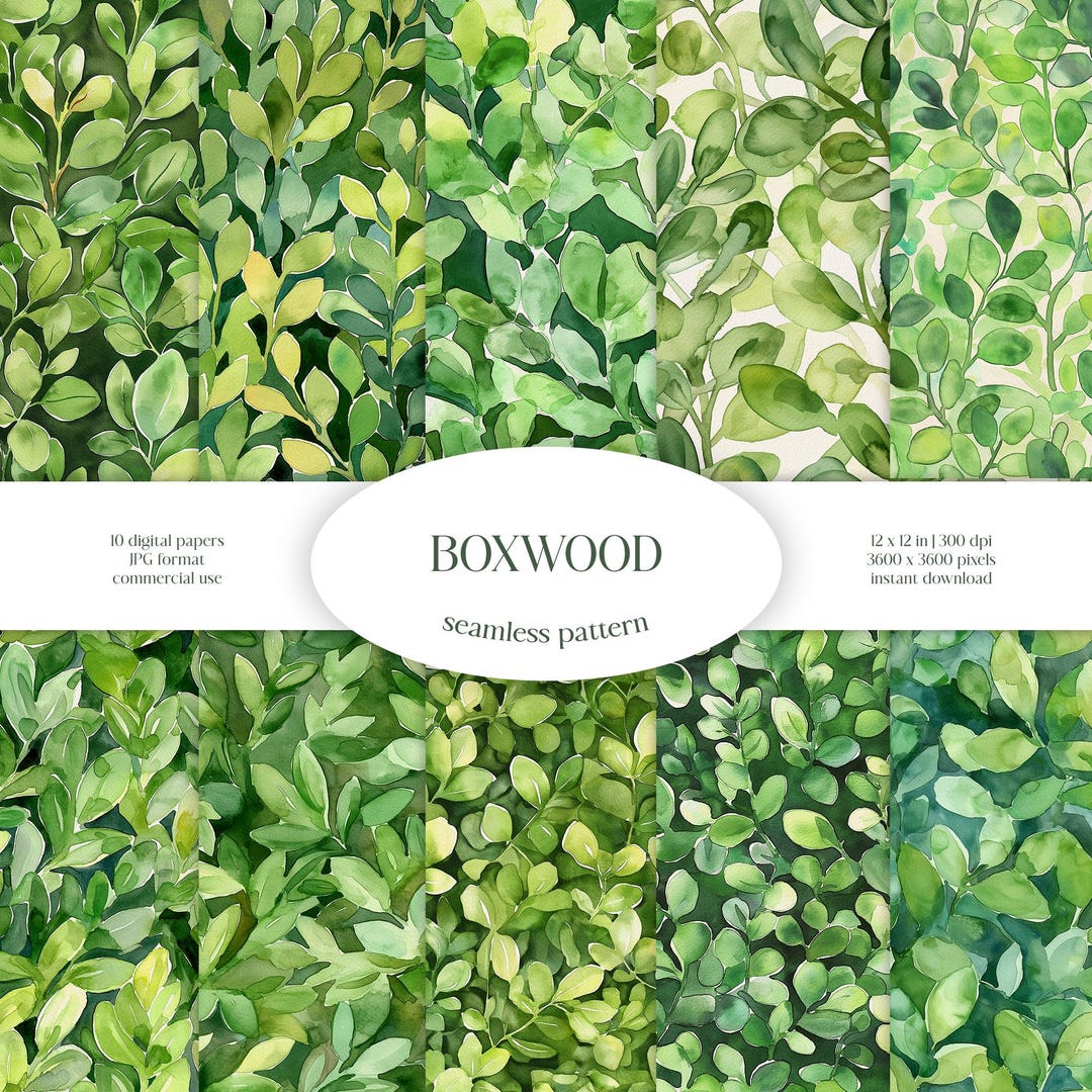 Boxwood Watercolor Seamless Pattern | Greenery & Floral JPG Digital ...