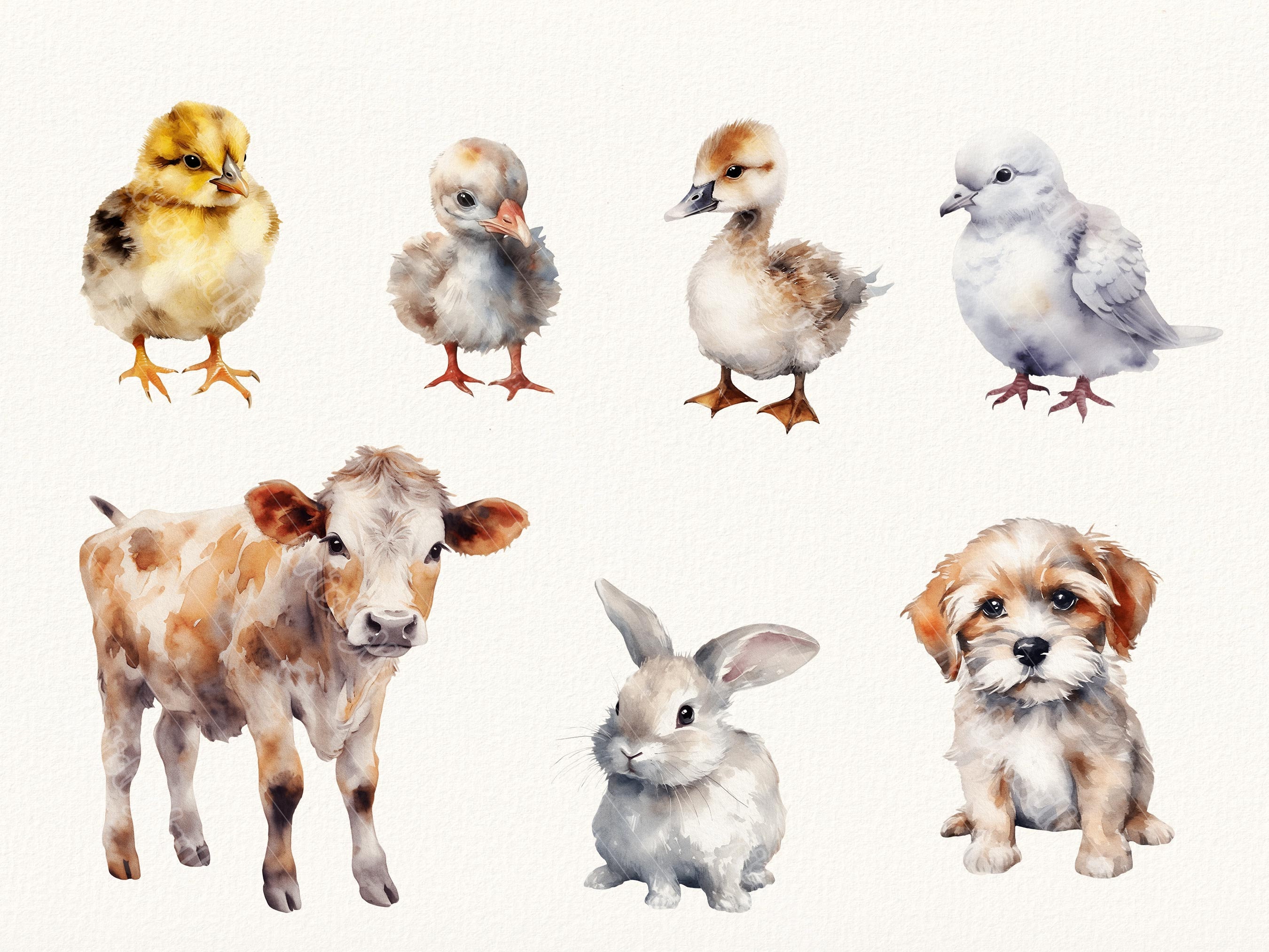 Farm Creatures Watercolor Clipart Baby Animals & Birds PNG - Etsy
