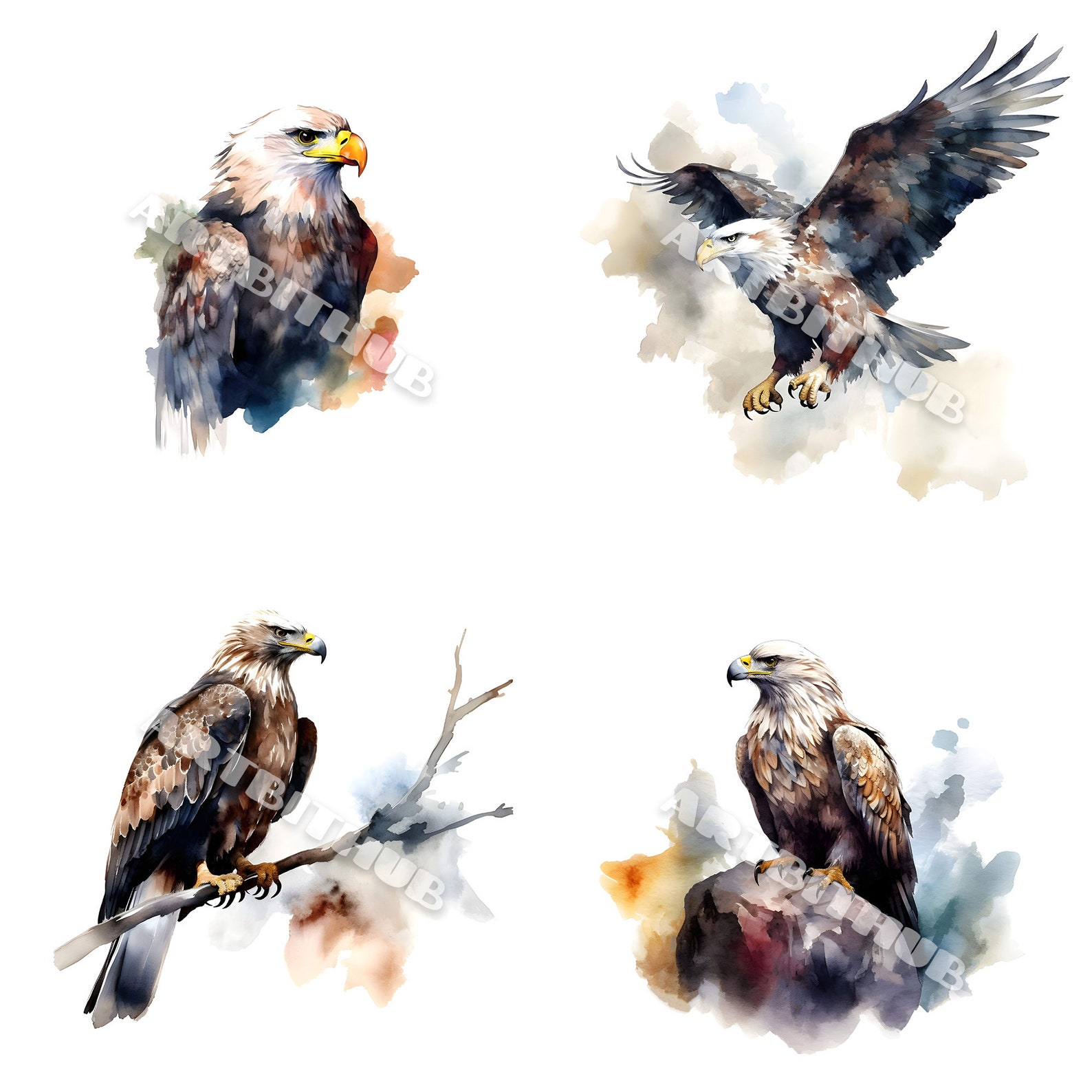 Bald Eagle Watercolor Clipart | Aquila Bird JPG Set | DIY Paper Craft ...