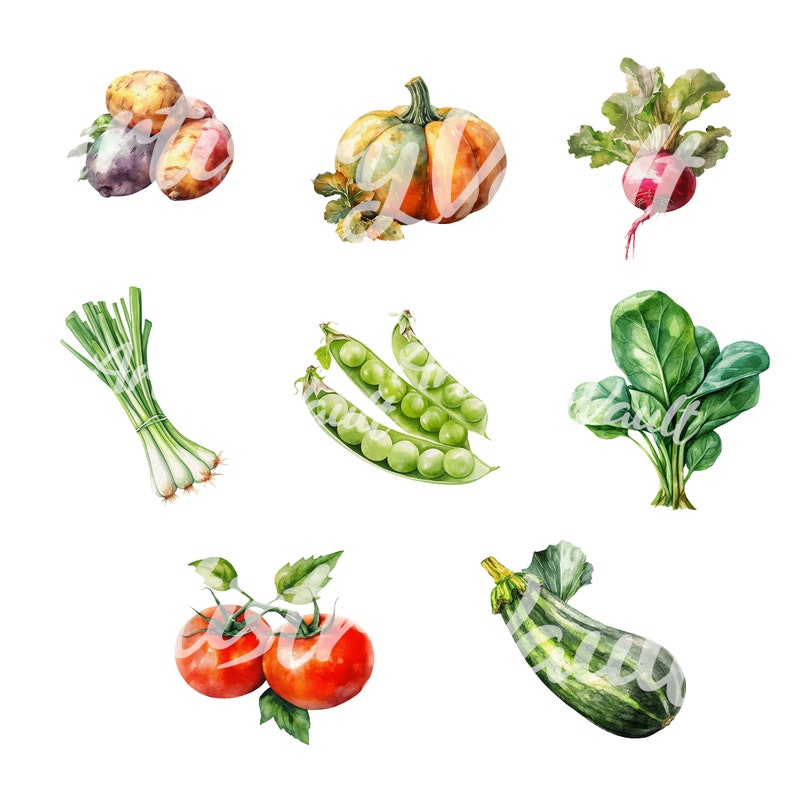 Vegetables Watercolor Clipart Veggies Collection Culinary Plants Set ...