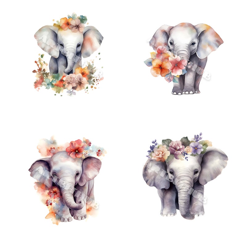 Baby Elephant & Flowers Watercolor Clipart | Cute Safari Animal JPG Set ...