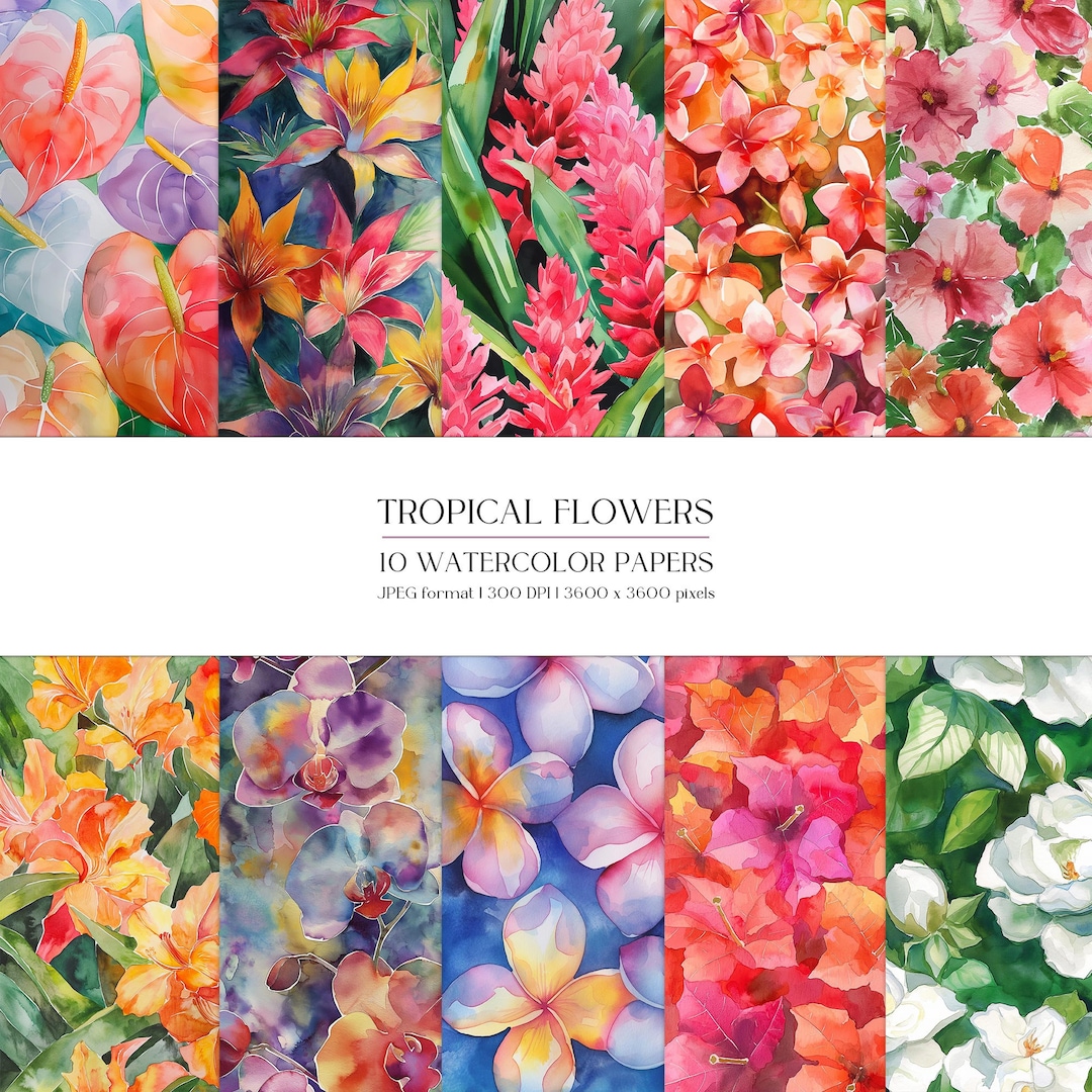 Tropical Flowers Watercolor Digital Paper | Hibiscus Plumeria Anthurium ...