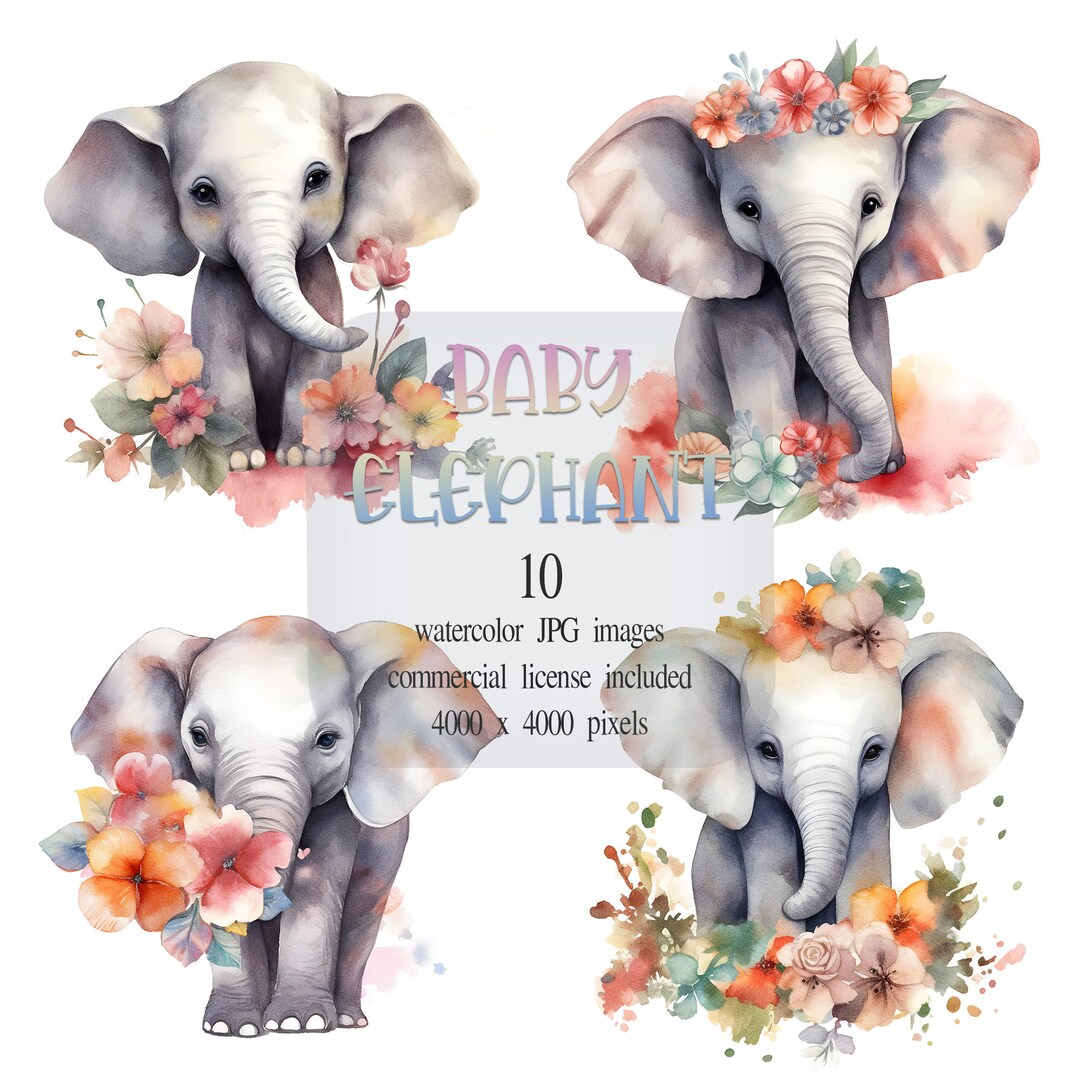 Baby Elephant & Flowers Watercolor Clipart Cute Safari - Etsy