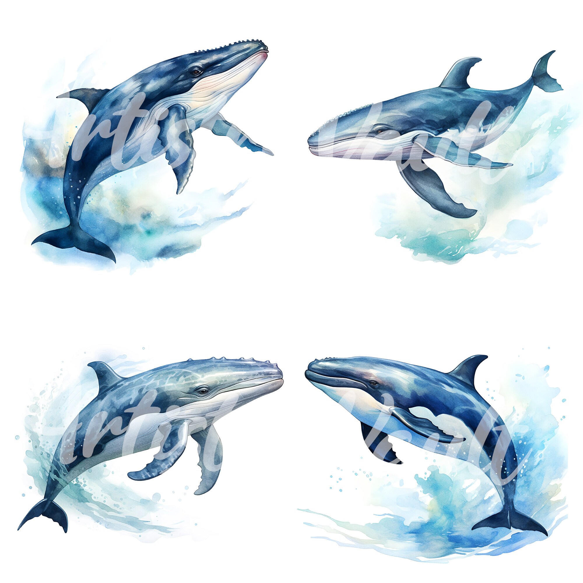 Whale Watercolor Clipart Ocean Creature JPG Set Wall Art - Etsy