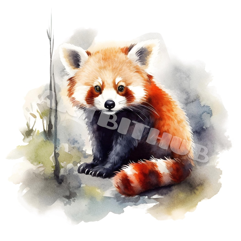 Baby Red Panda Watercolor Clipart | Cute Asian Bear JPG Set | DIY ...