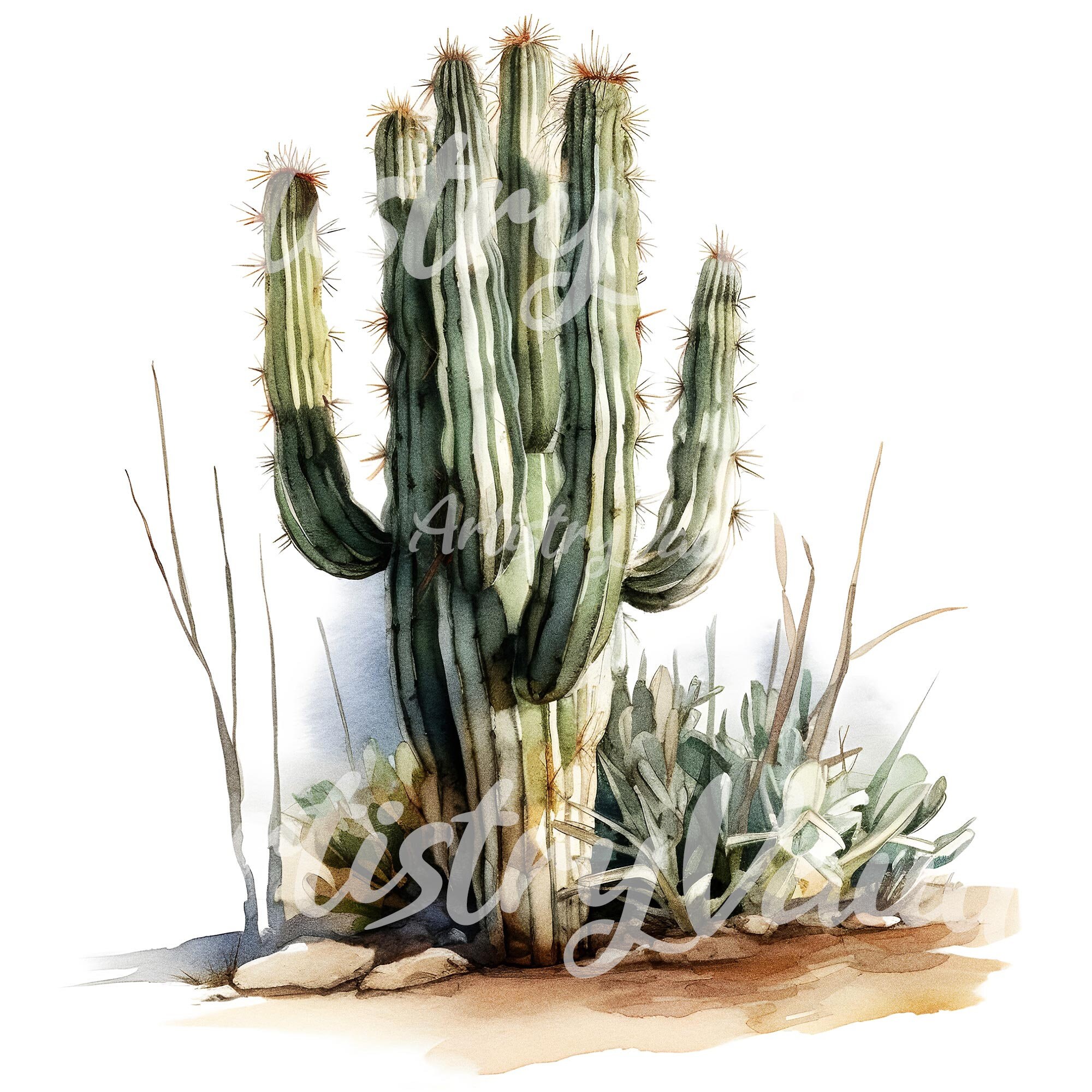 Desert Cactus Watercolor Clipart Succulent Cacti JPG Set - Etsy