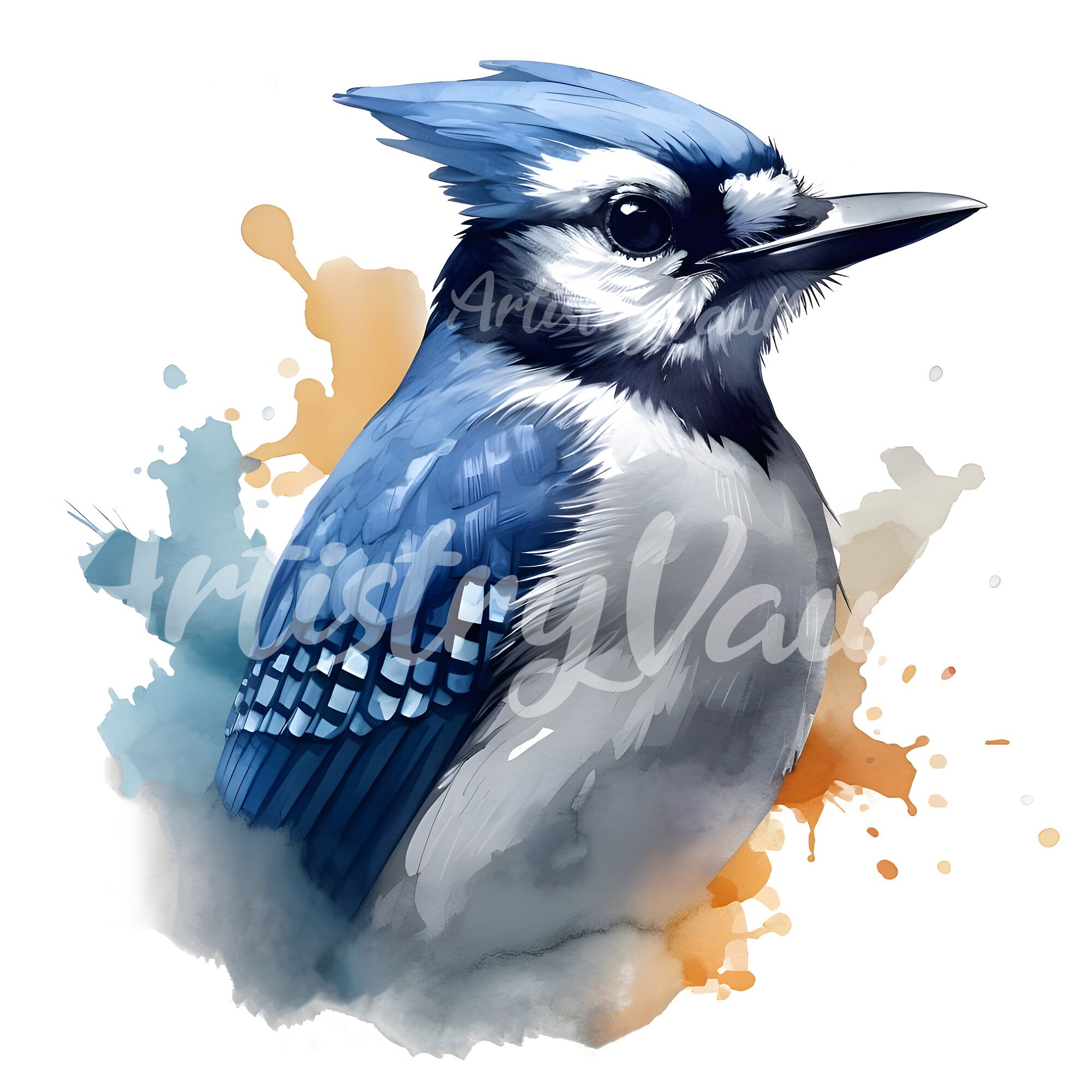 Blue Jay Watercolor Clipart Woodland Bird JPG Set DIY - Etsy