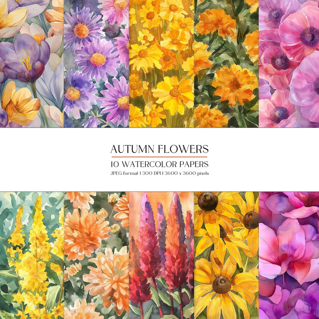 Autumn Flowers Watercolor Digital Paper | Chrysanthemum Marigold Crocus ...