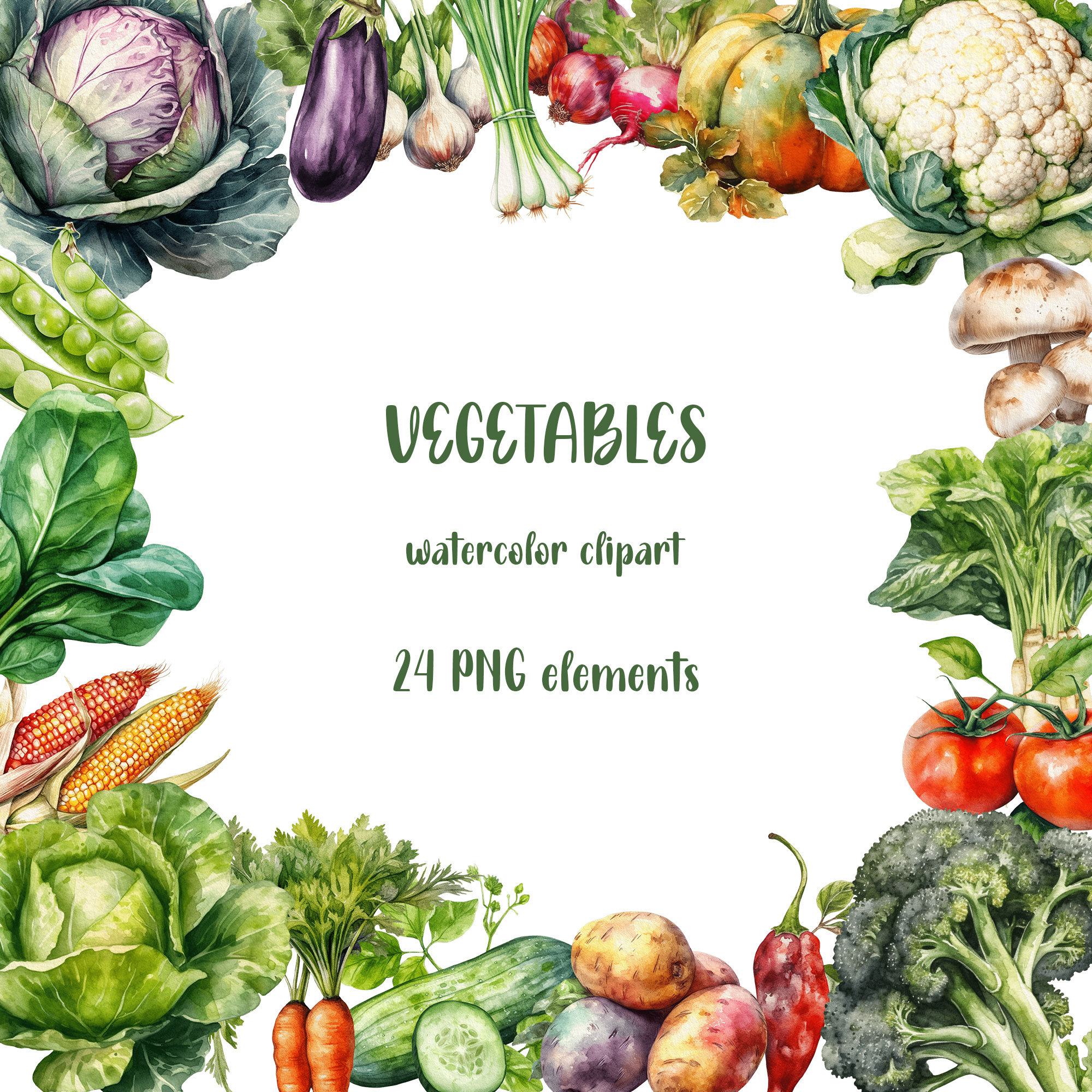Vegetables Watercolor Clipart - Veggies Collection - Culinary Plants ...