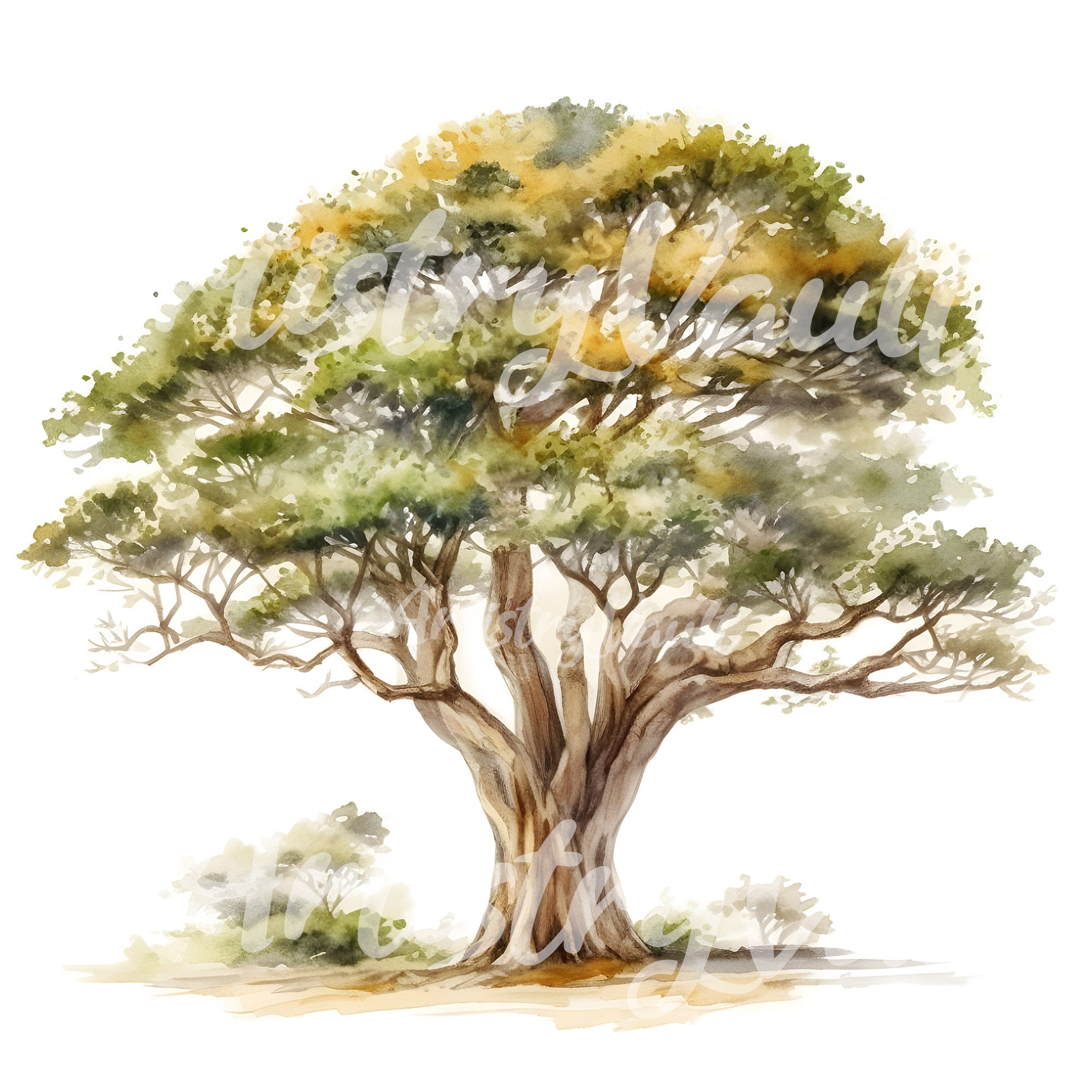 Safari Trees Watercolor Clipart Savanna Shrub JPG Set DIY - Etsy