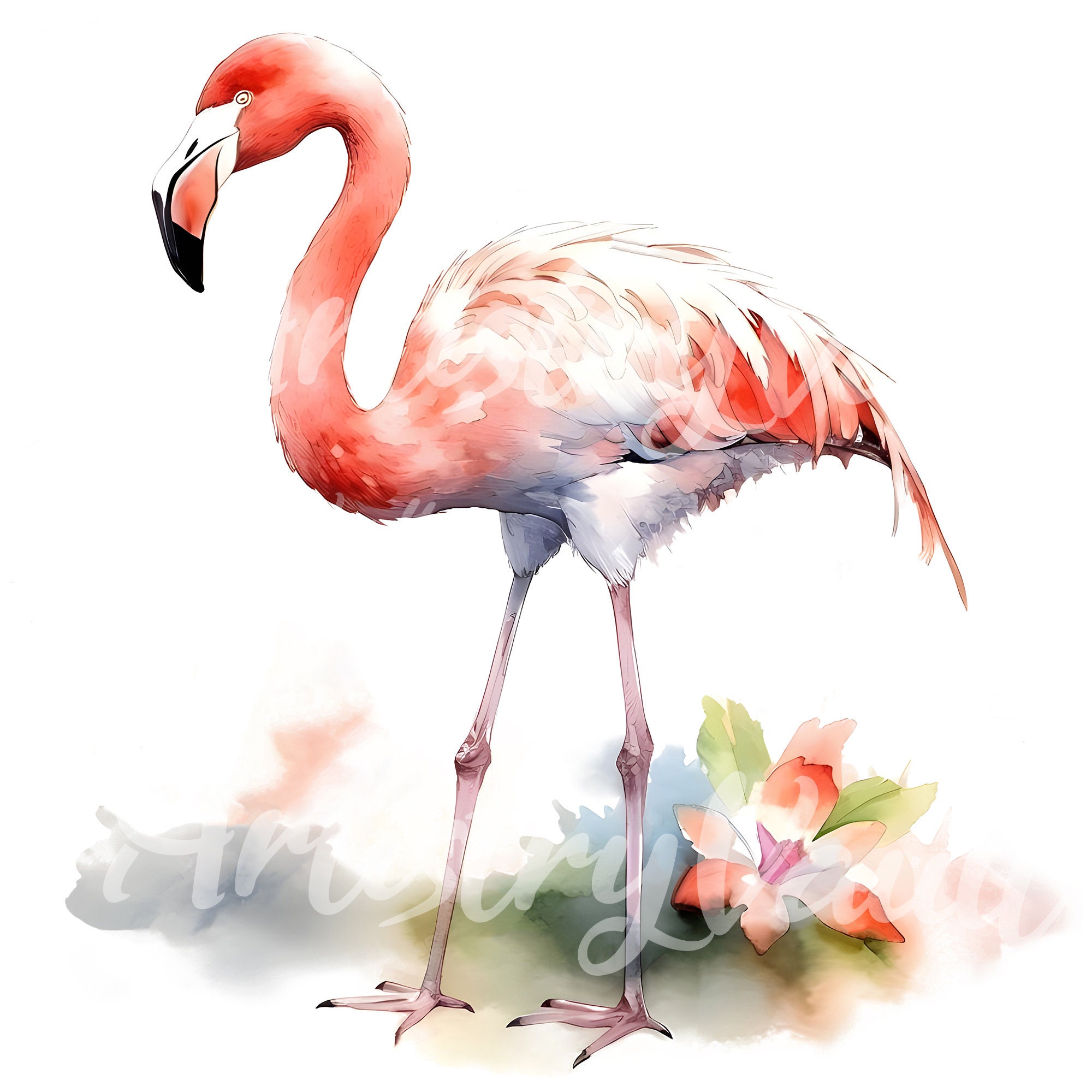 Flamingo Watercolor Clipart Tropical Bird JPG Set Paper - Etsy