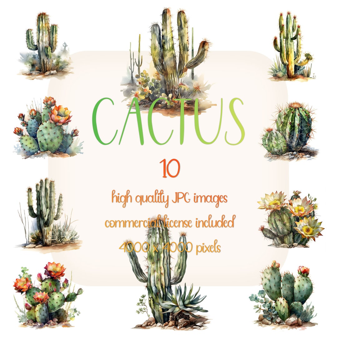 Desert Cactus Watercolor Clipart Succulent Cacti JPG Set - Etsy