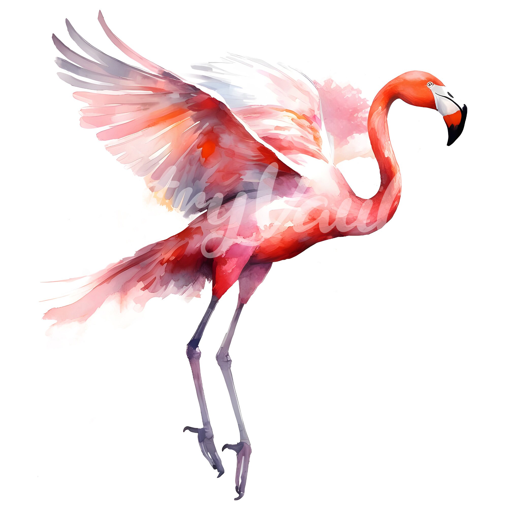 Flamingo Watercolor Clipart Tropical Bird JPG Set Paper - Etsy