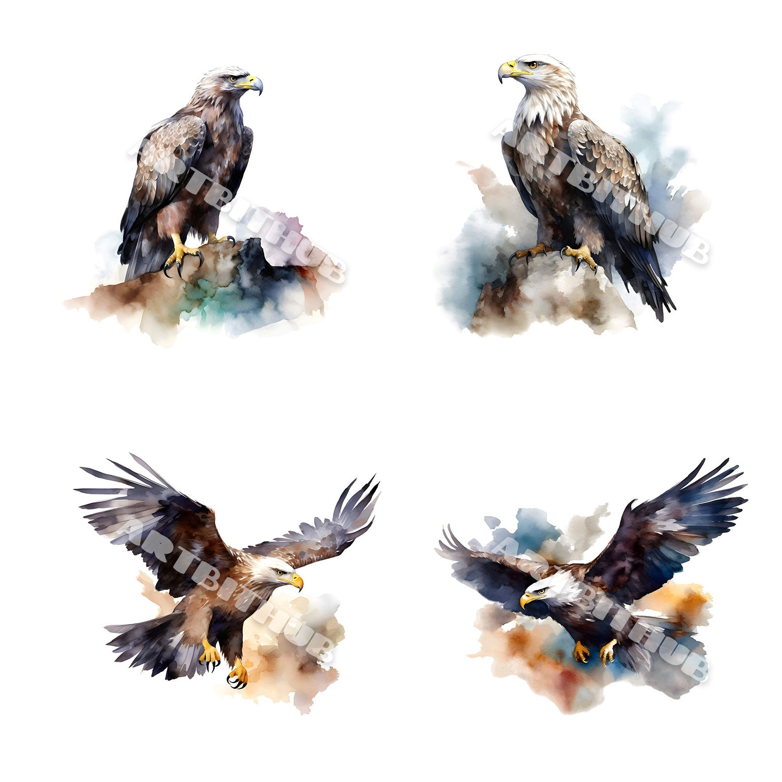 Bald Eagle Watercolor Clipart | Aquila Bird JPG Set | DIY Paper Craft ...