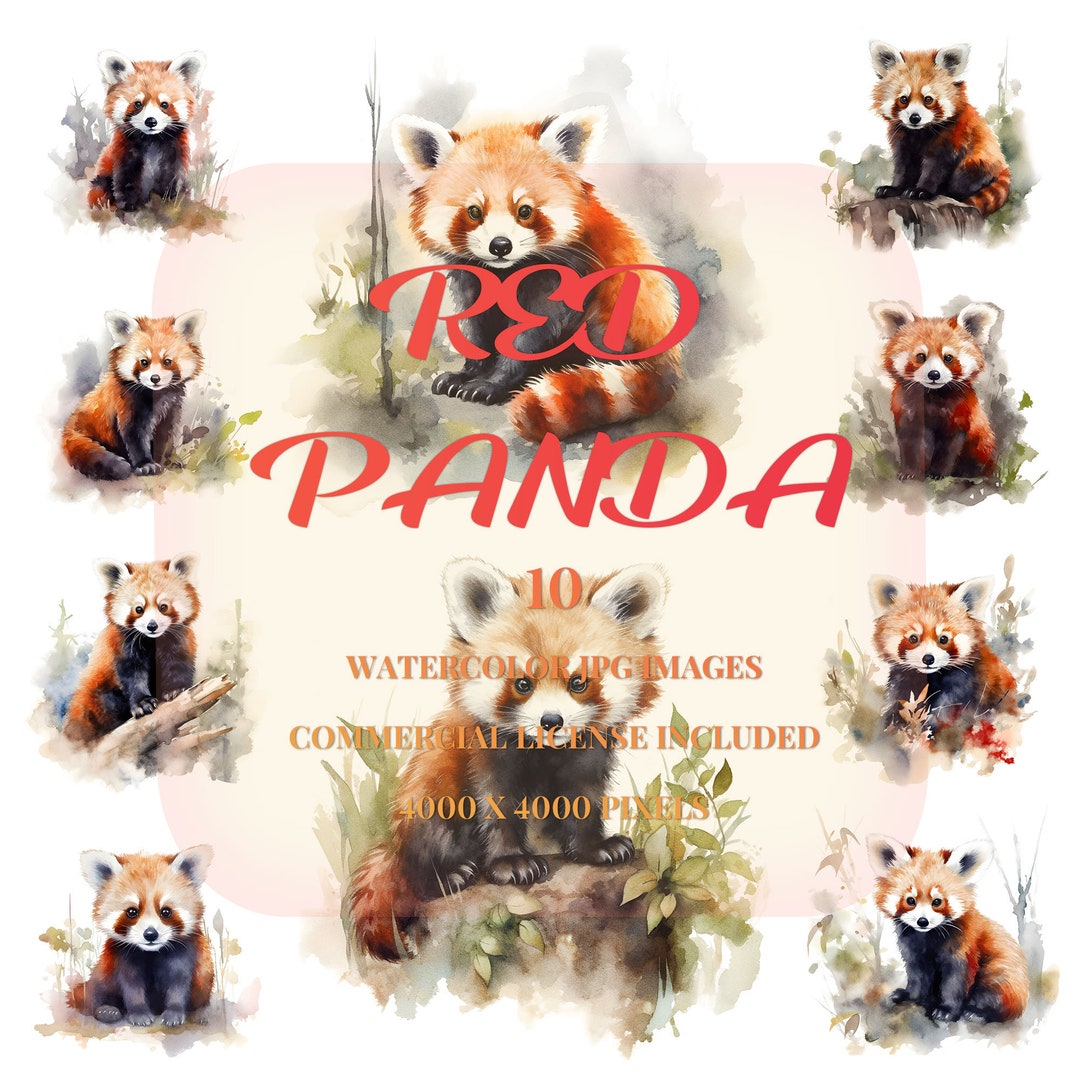 Baby Red Panda Watercolor Clipart Cute Asian Bear JPG Set - Etsy