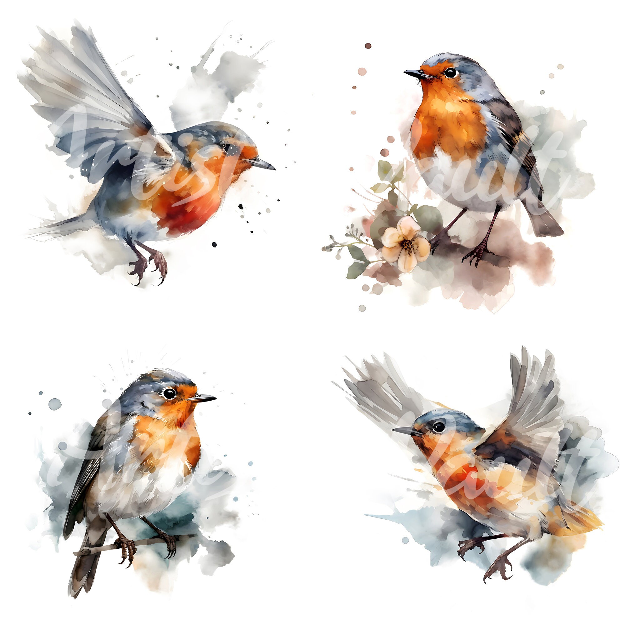 Robin Watercolor Clipart Flycatcher Bird JPG Set Paper - Etsy