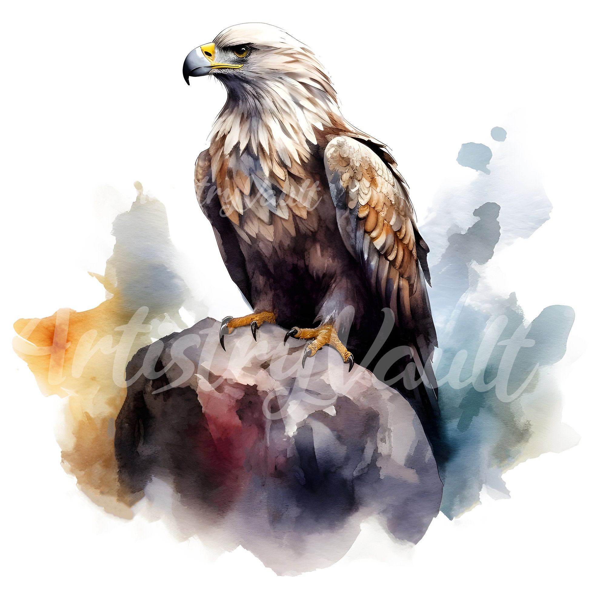 Bald Eagle Watercolor Clipart Aquila Bird JPG Set DIY - Etsy