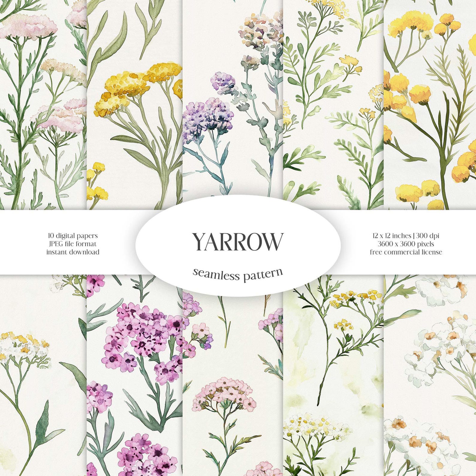 Common Yarrow Watercolor Seamless Pattern | Floral & Greenery JPG ...