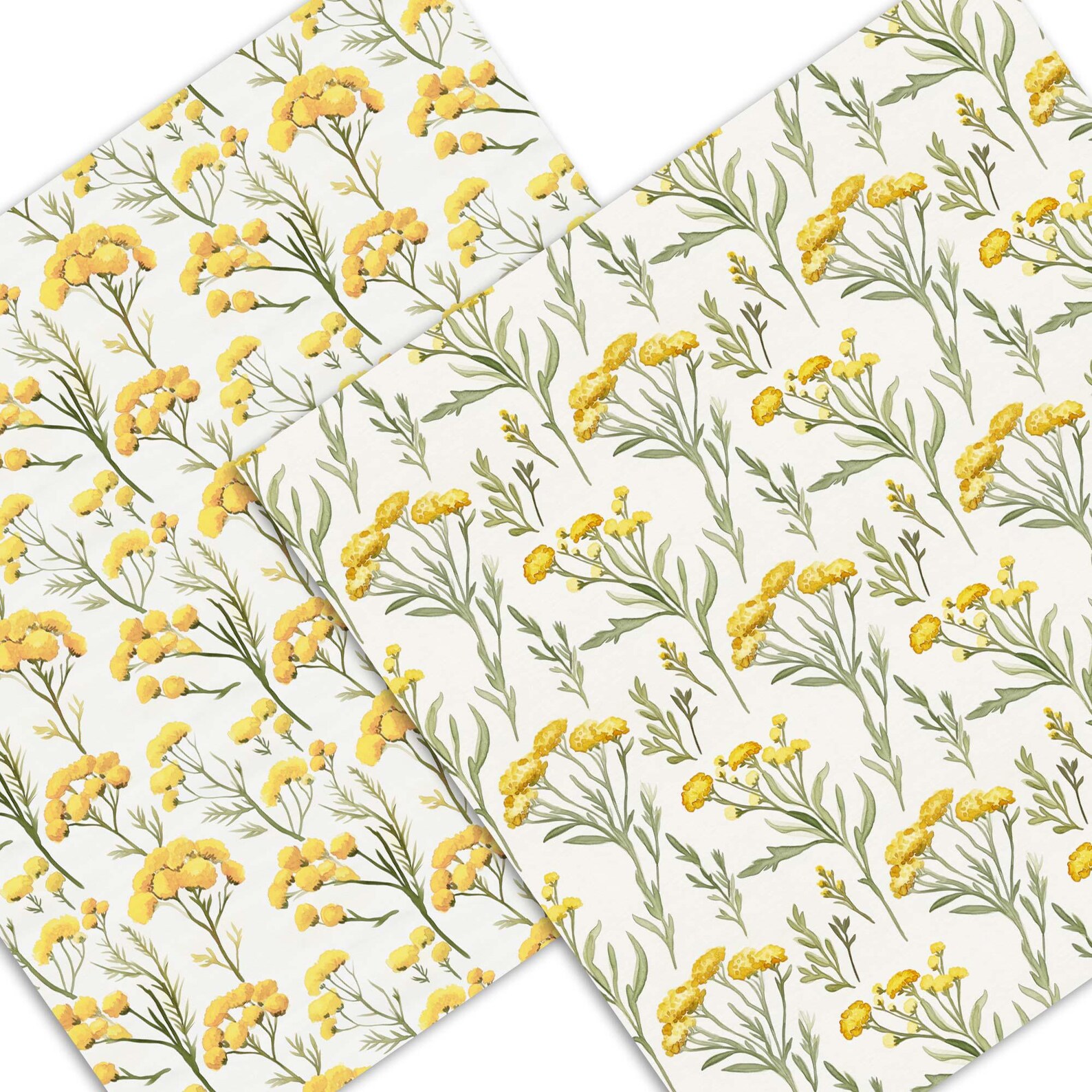 Common Yarrow Watercolor Seamless Pattern | Floral & Greenery JPG ...