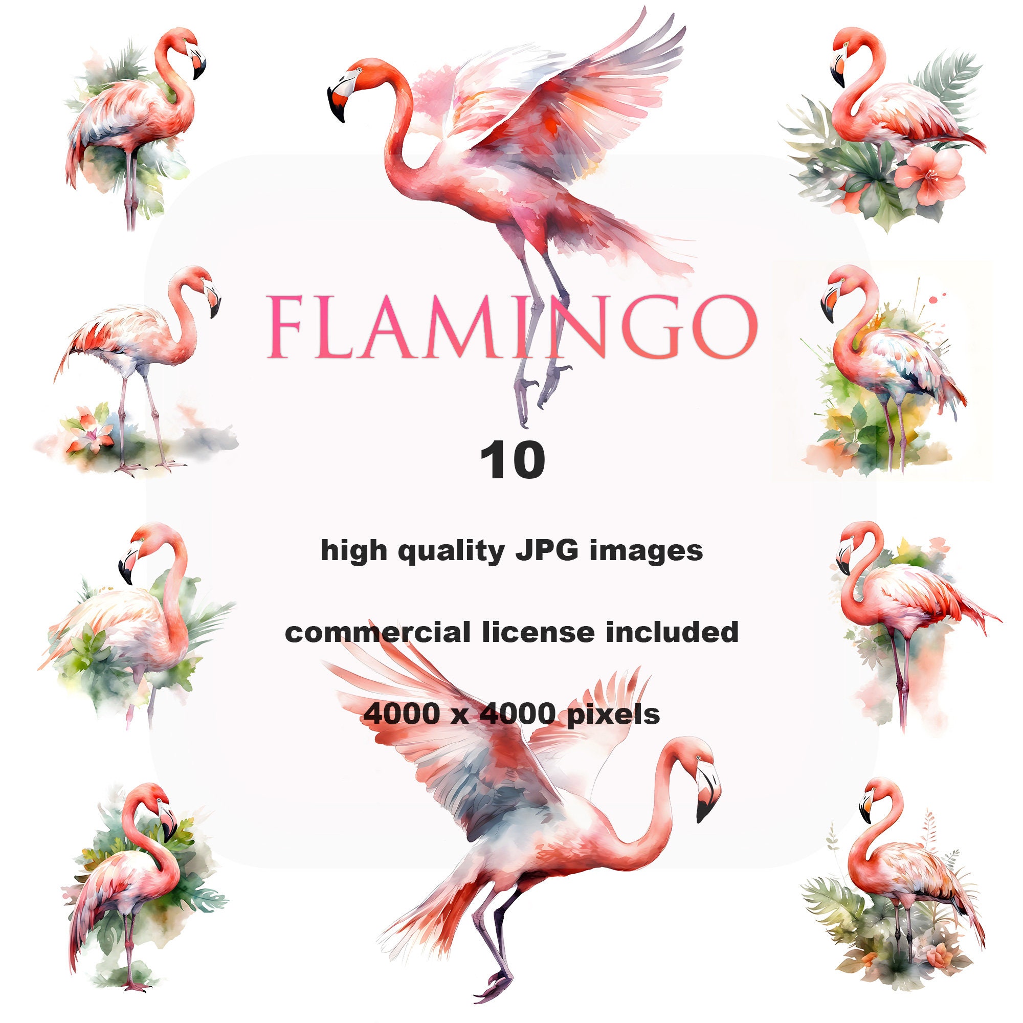 Flamingo Watercolor Clipart Tropical Bird JPG Set Paper - Etsy