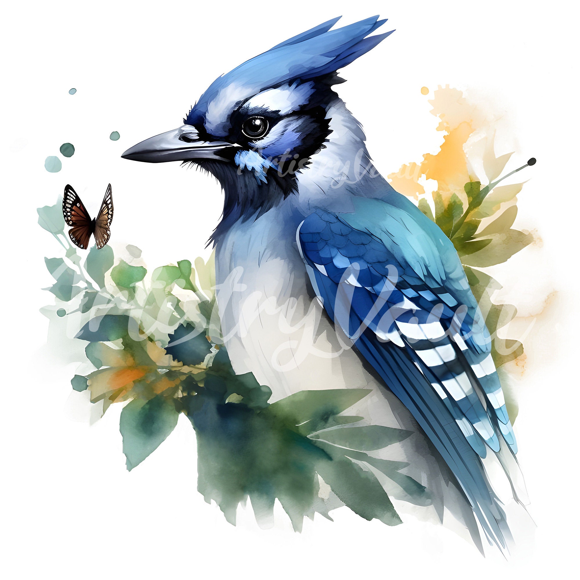 Blue Jay Watercolor Clipart Woodland Bird JPG Set DIY - Etsy