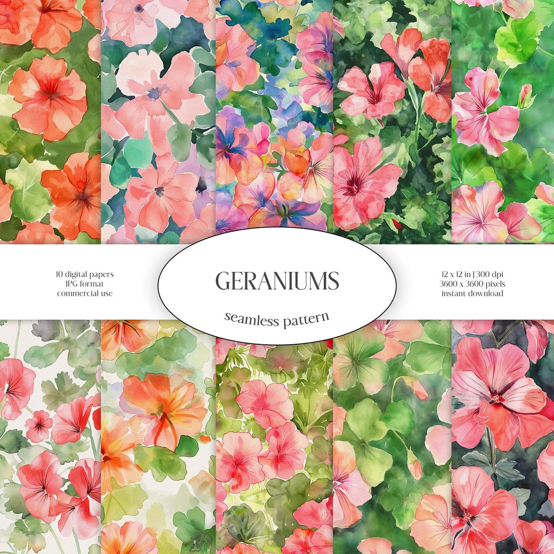 Geraniums Watercolor Seamless Pattern Floral & Greenery JPG Digital ...