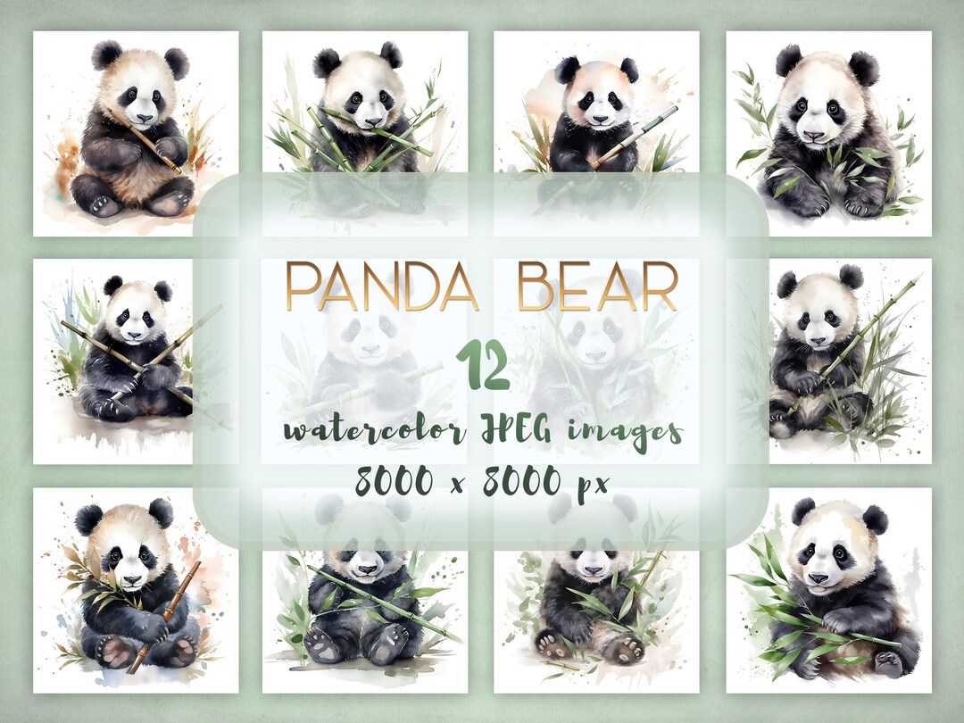 Baby Panda Watercolor Clipart Bear & Bamboo JPEG Collection - Etsy