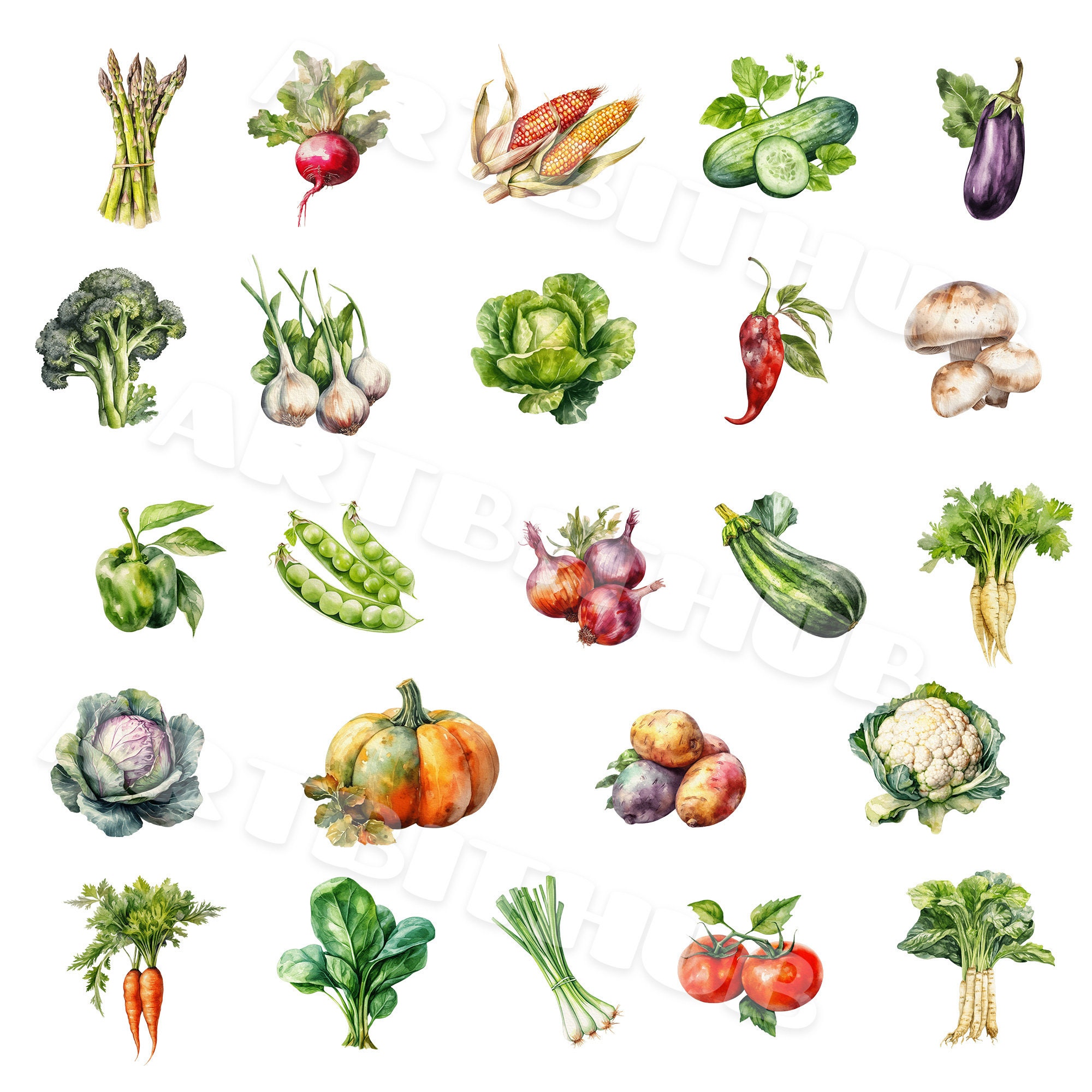 Vegetables Watercolor Clipart - Veggies Collection - Culinary Plants ...