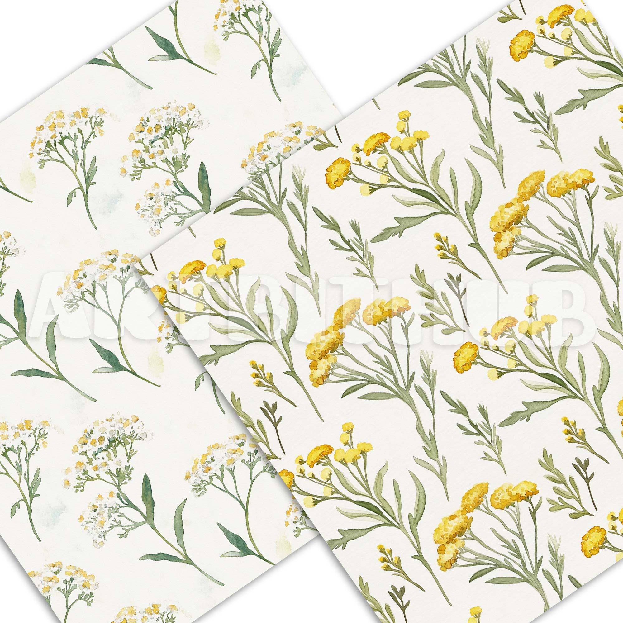 Common Yarrow Watercolor Seamless Pattern | Floral & Greenery JPG ...