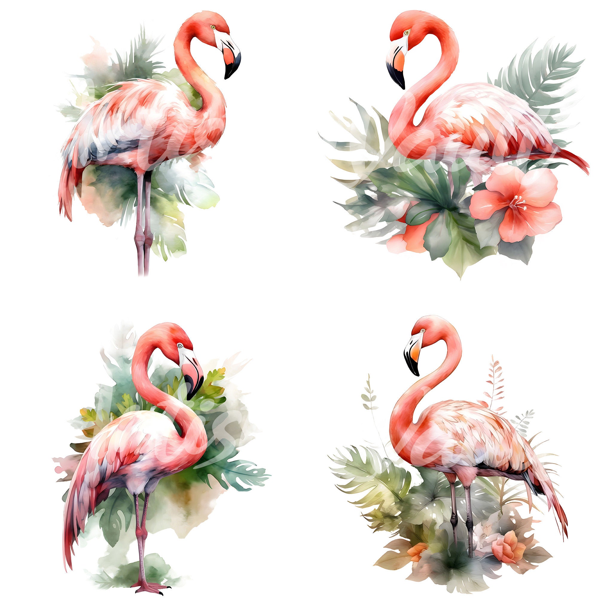Flamingo Watercolor Clipart Tropical Bird JPG Set Paper - Etsy