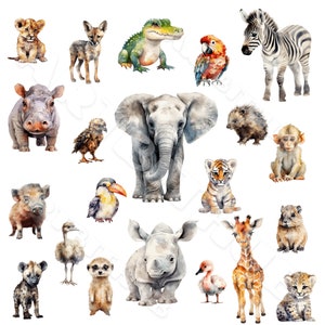 Safari Creatures Watercolor Clipart | Baby Animals & Birds PNG ...