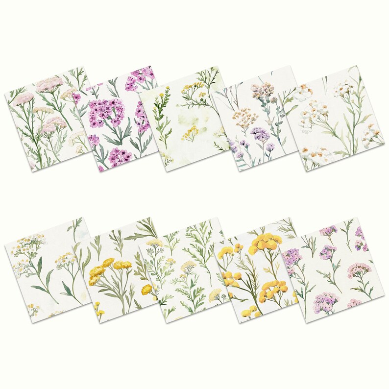 Common Yarrow Watercolor Seamless Pattern | Floral & Greenery JPG ...