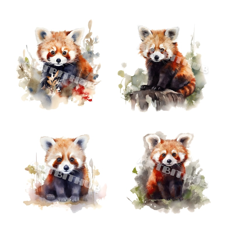 Baby Red Panda Watercolor Clipart | Cute Asian Bear JPG Set | DIY ...