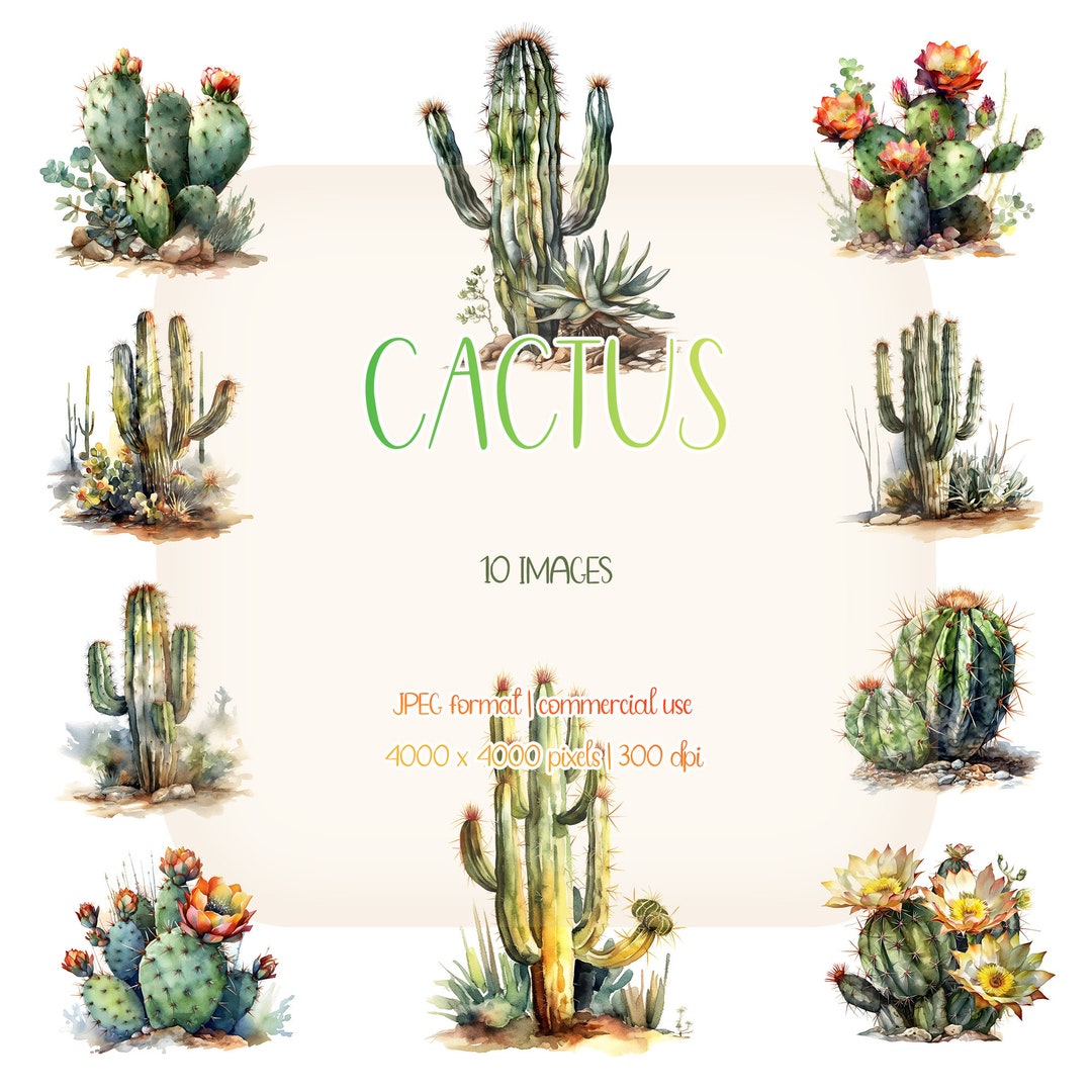 Desert Cactus Watercolor Clipart | Succulent Cacti JPG Set | Stationery ...