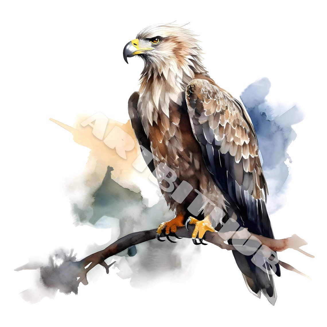Bald Eagle Watercolor Clipart | Aquila Bird JPG Set | DIY Paper Craft ...