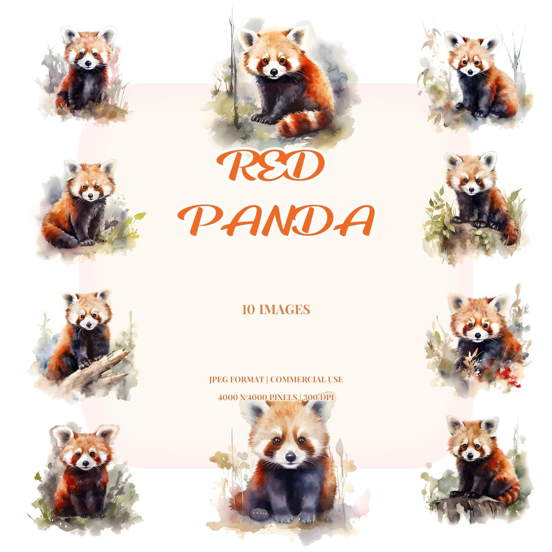 Baby Red Panda Watercolor Clipart | Cute Asian Bear JPG Set | DIY ...