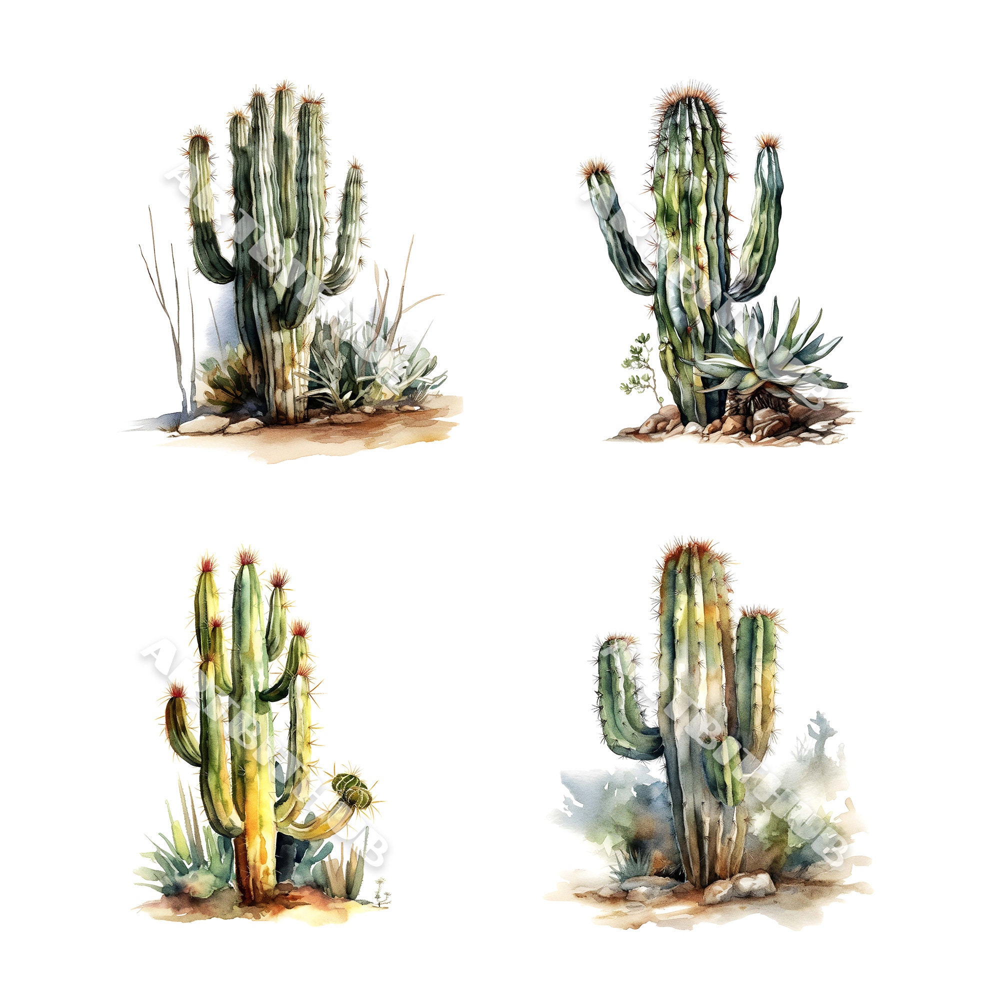 Desert Cactus Watercolor Clipart Succulent Cacti JPG Set Stationery ...