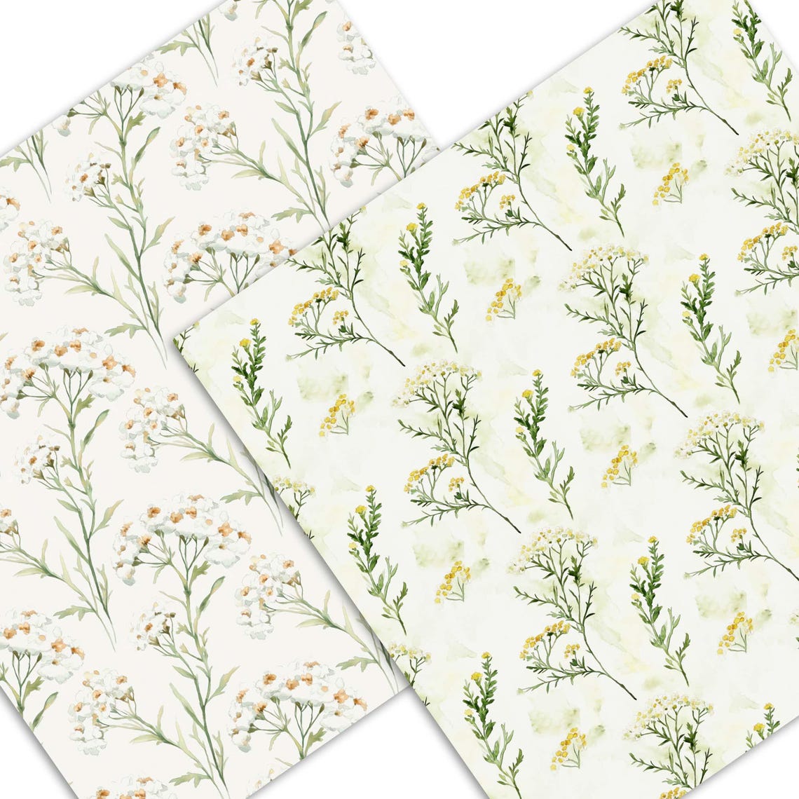 Common Yarrow Watercolor Seamless Pattern | Floral & Greenery JPG ...