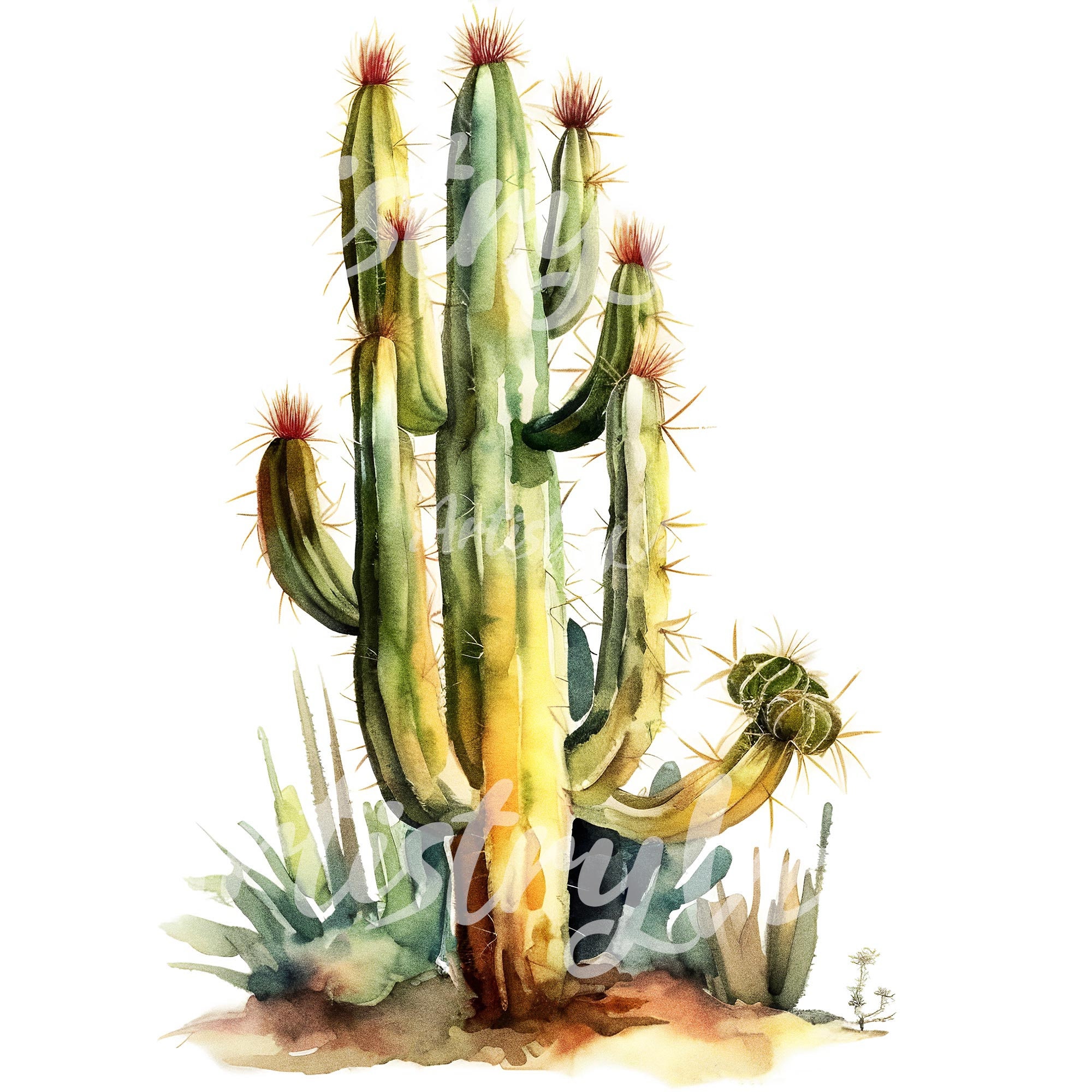 Desert Cactus Watercolor Clipart Succulent Cacti JPG Set - Etsy
