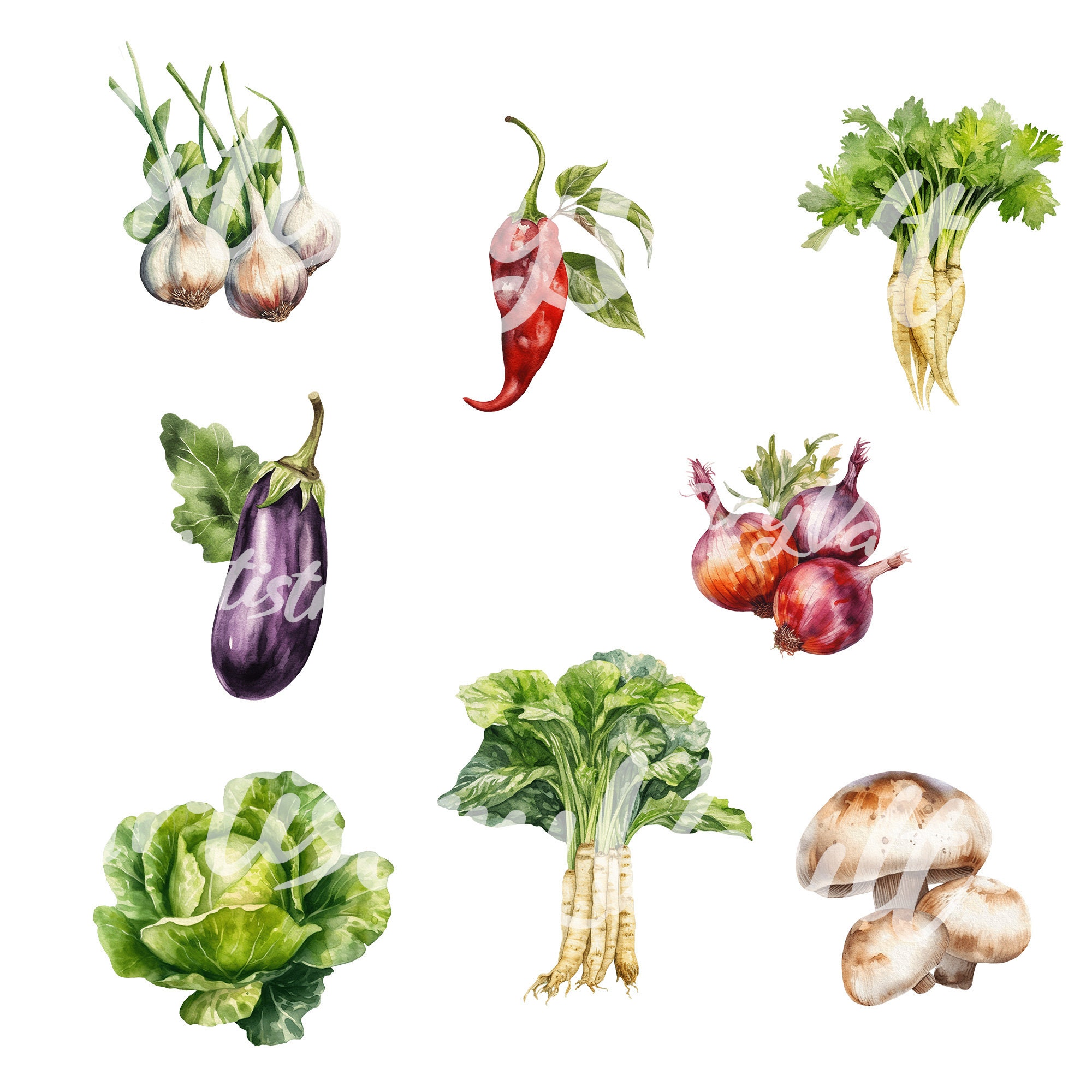 Vegetables Watercolor Clipart Veggies Collection Culinary Plants Set ...
