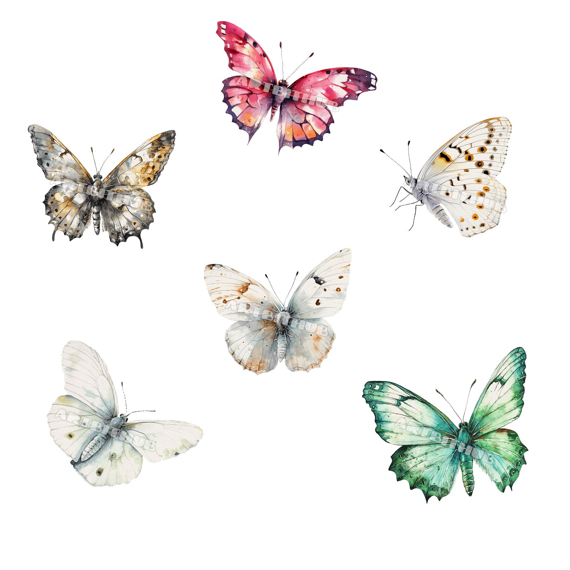 Butterflies Watercolor Clipart Butterfly Illustration PNG - Etsy