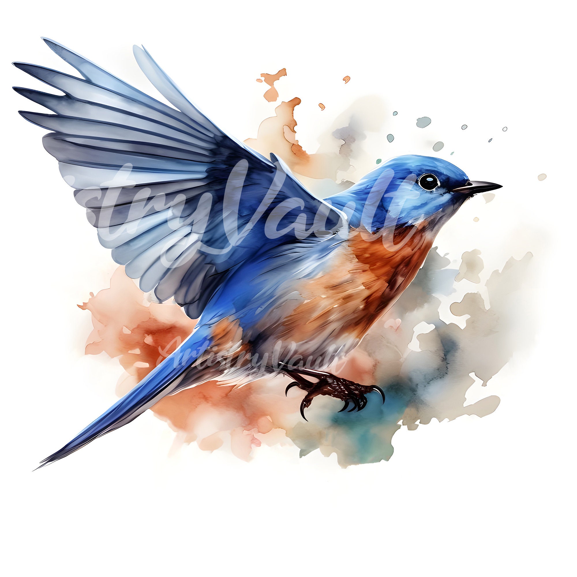 Eastern Bluebird Watercolor Clipart Woodland Bird JPG Set - Etsy