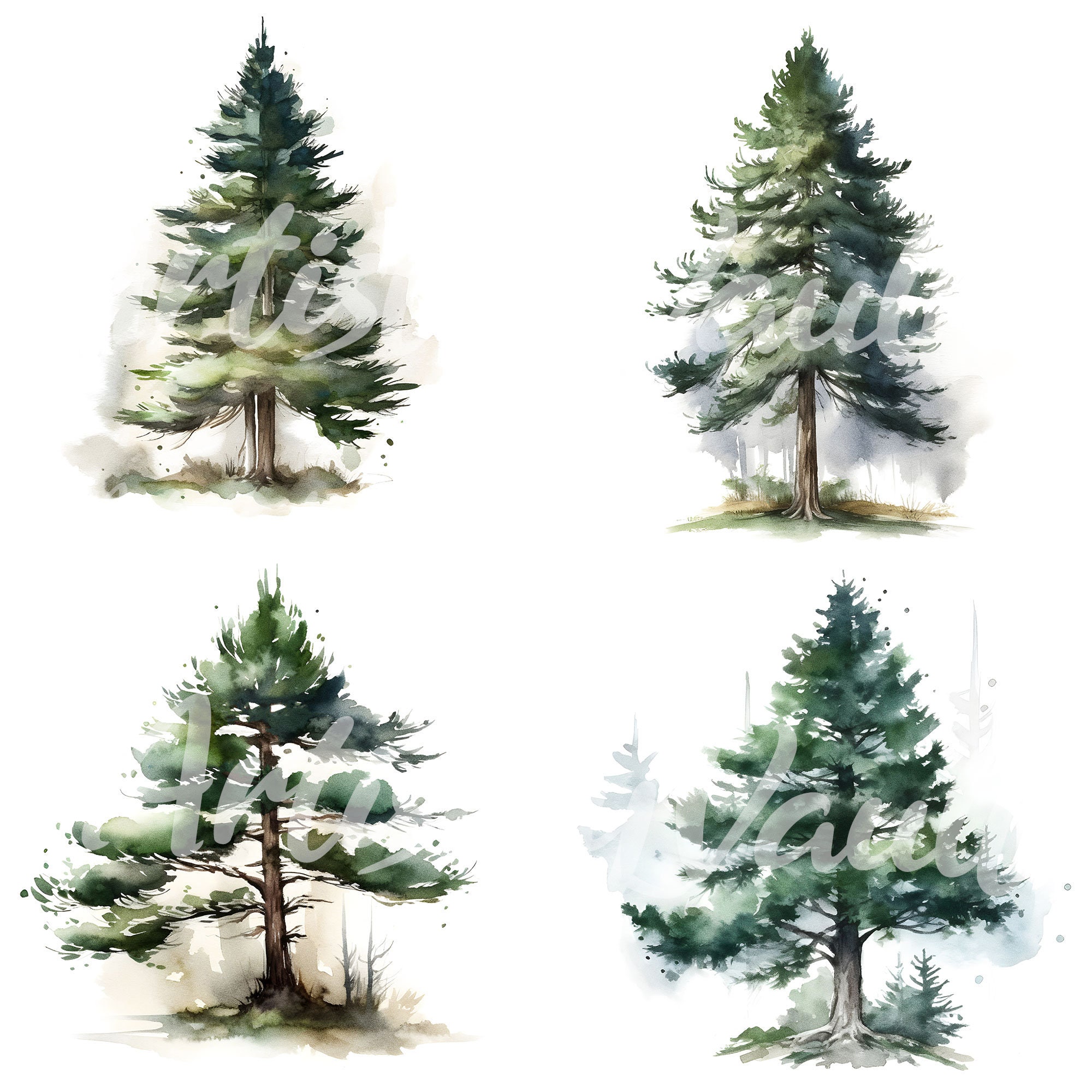 Pine Tree Watercolor Clipart Coniferous Shrub JPG Set - Etsy