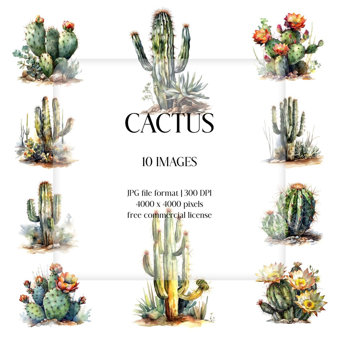 Watercolor Cactus Clipart Set | Desert Succulents (digital Print) - Etsy