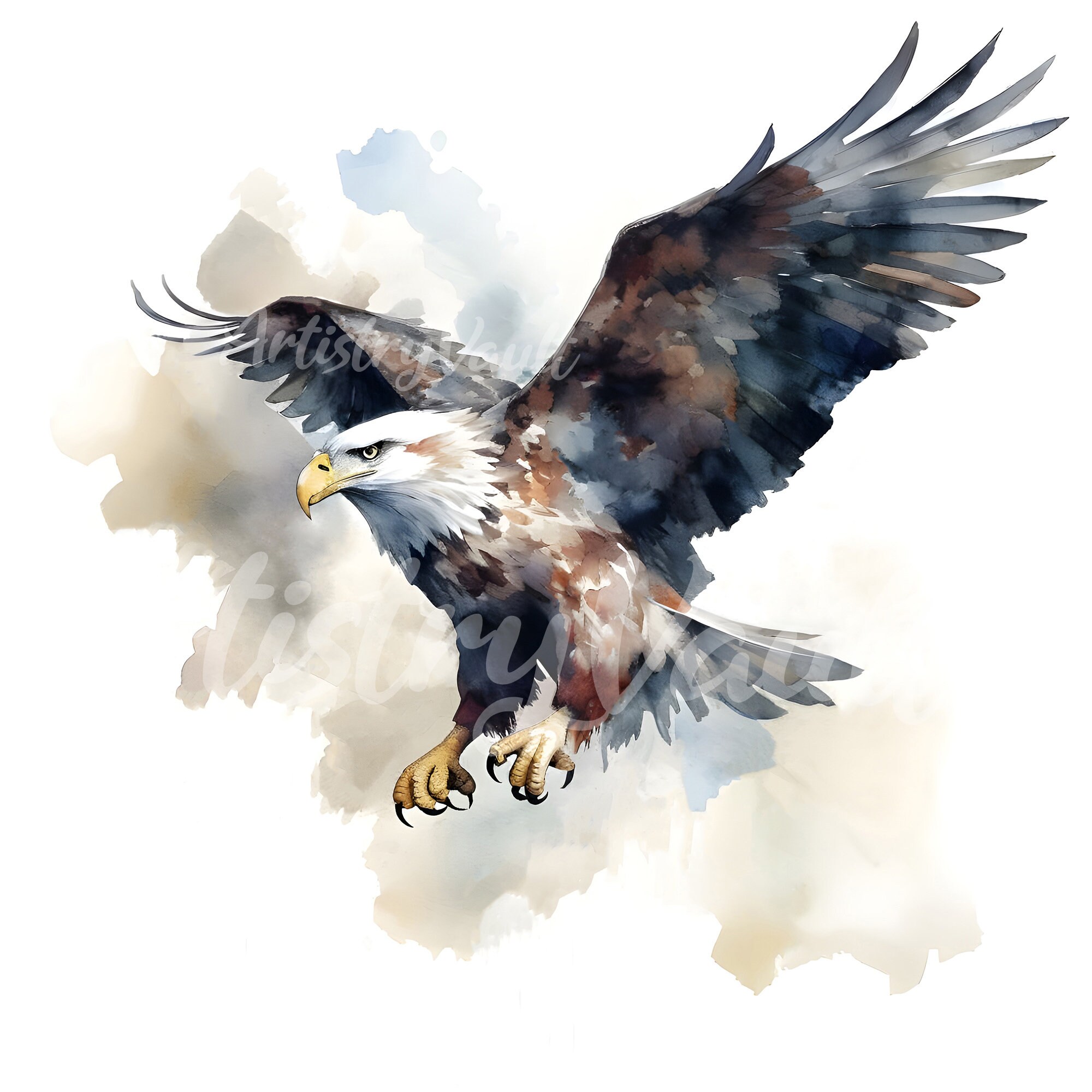 Bald Eagle Watercolor Clipart Aquila Bird JPG Set DIY - Etsy